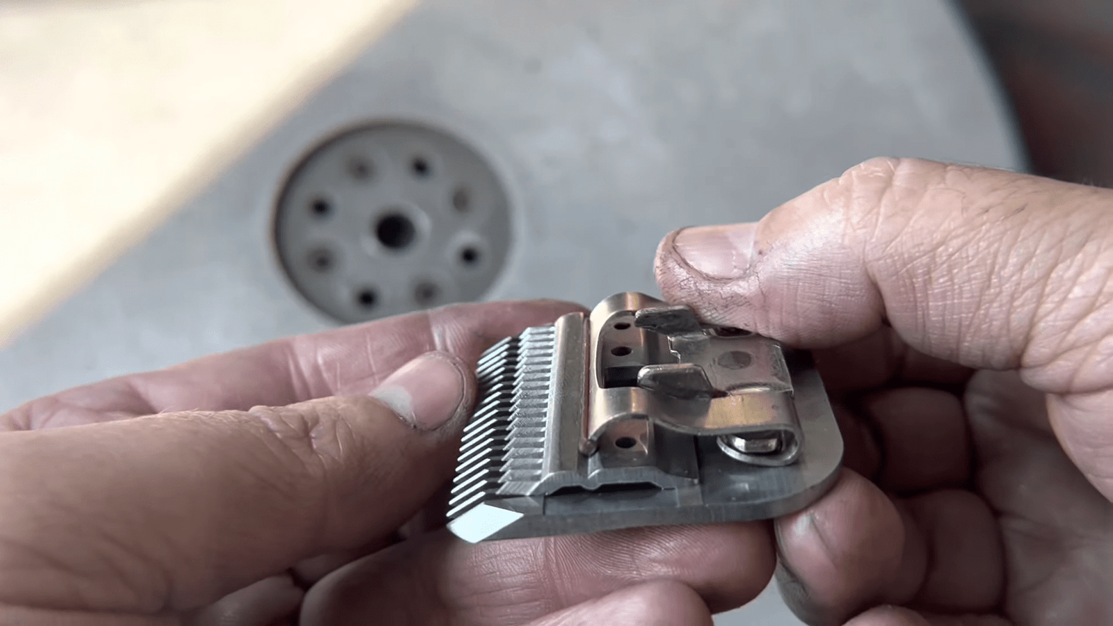 How to sharpen clipper blades? - Blades Journal